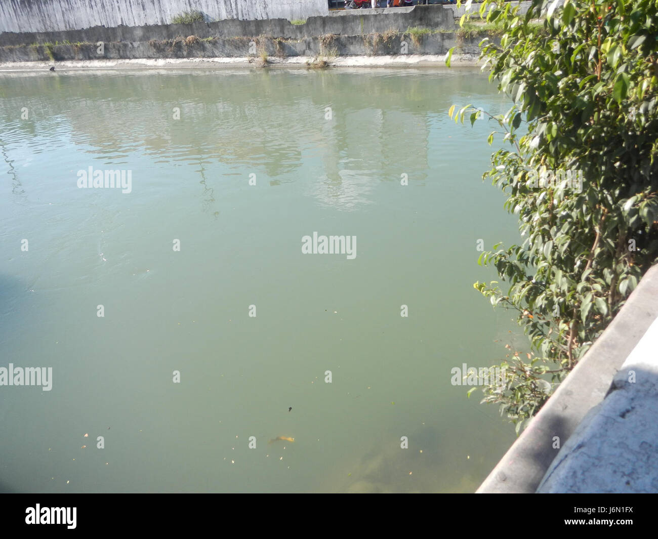 This image showcases the irrigation bridge over a creek in Bagong Nayon ...