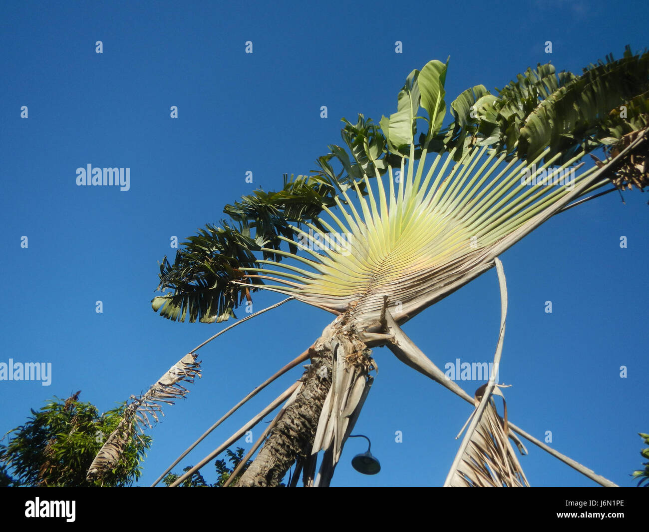The image shows paddy fields and irrigation systems in Bagong Nayon ...