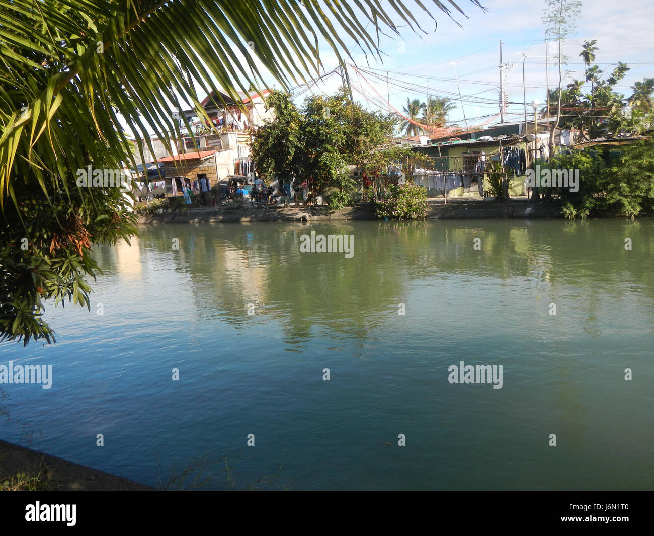 The image captures the paddy fields and Ravenala irrigation system ...