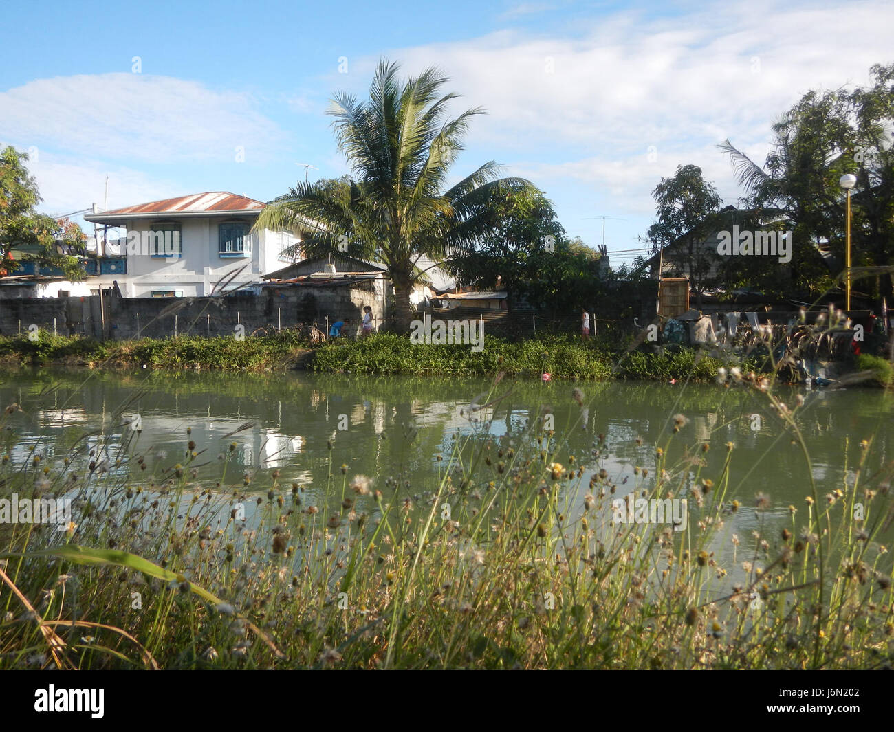 This image depicts the paddy fields and irrigation systems in Bagong ...
