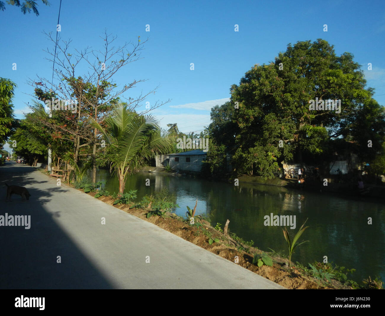 This image depicts the irrigation system and road bridges of the paddy ...