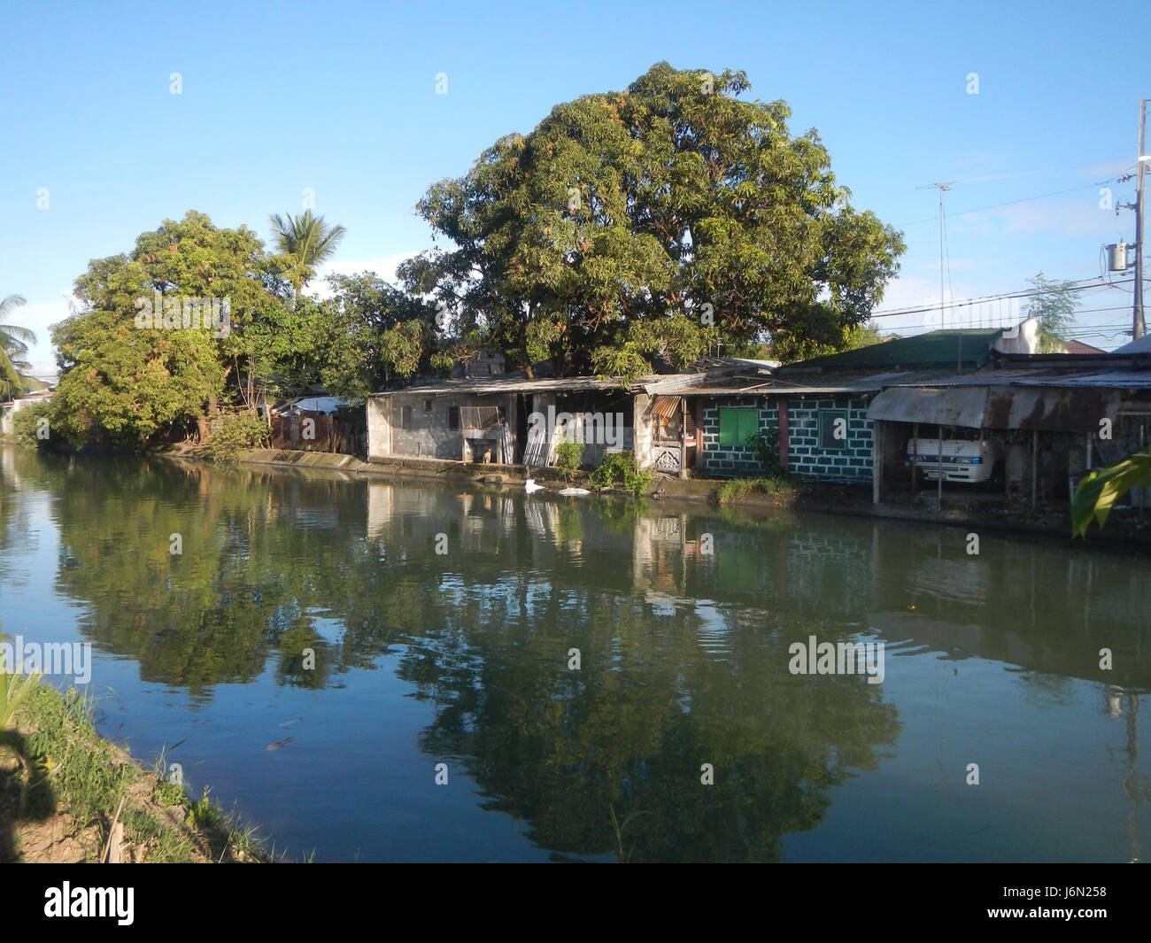 Paddy fields grasslands trees hi-res stock photography and images - Alamy