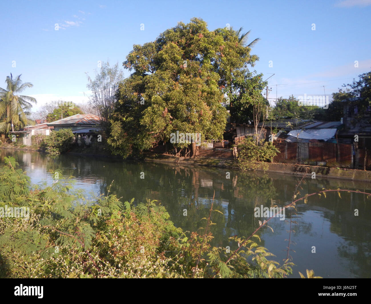 Paddy fields grasslands trees hi-res stock photography and images - Alamy