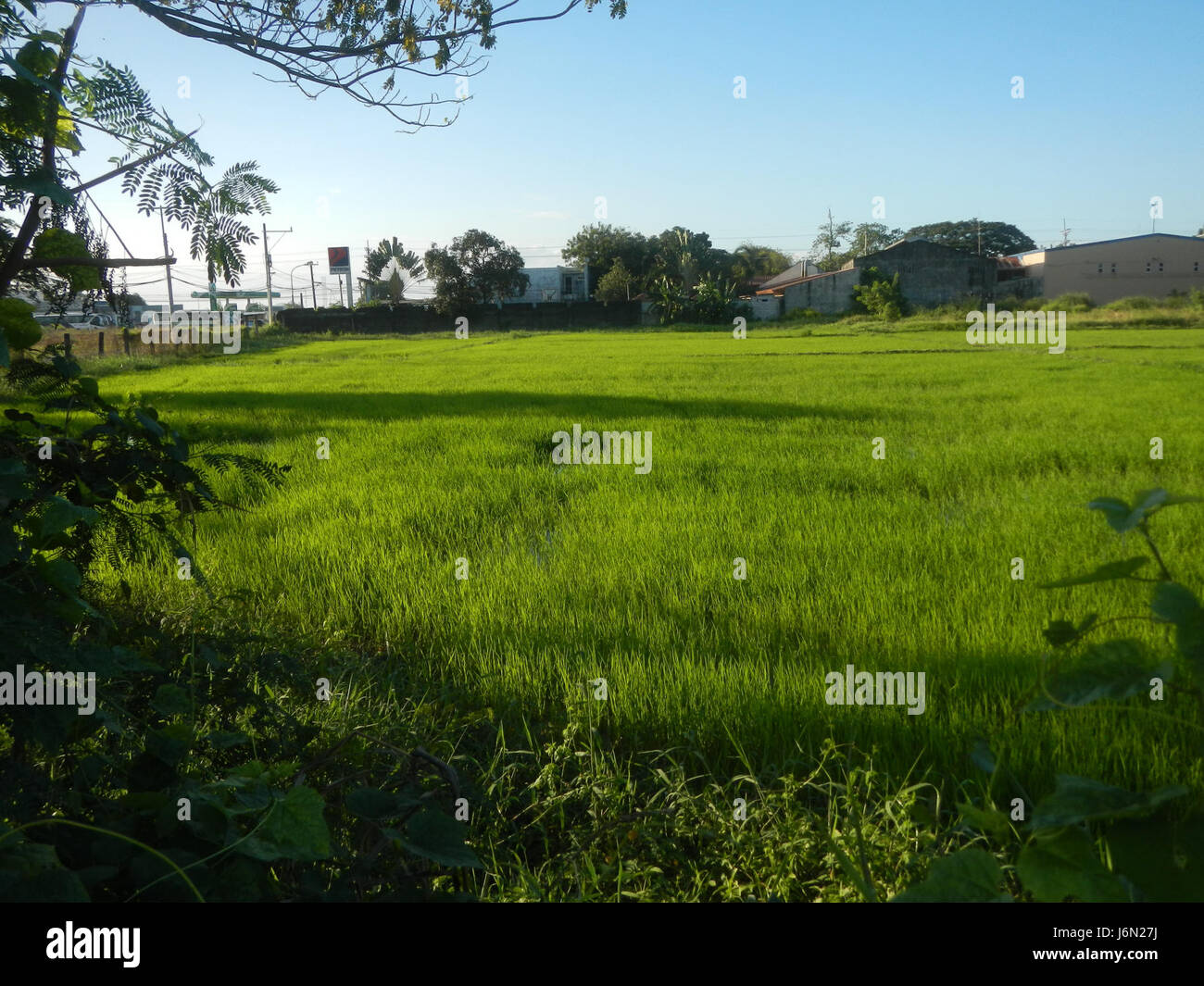 This image captures the rural landscape of Sabang, Baliuag, Bulacan ...