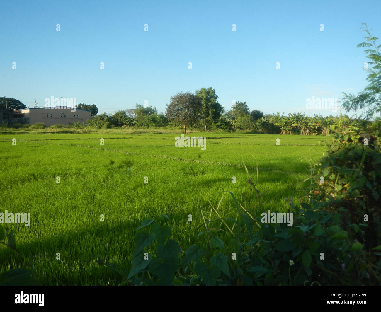 This image shows the paddy fields, grasslands, and irrigation systems ...