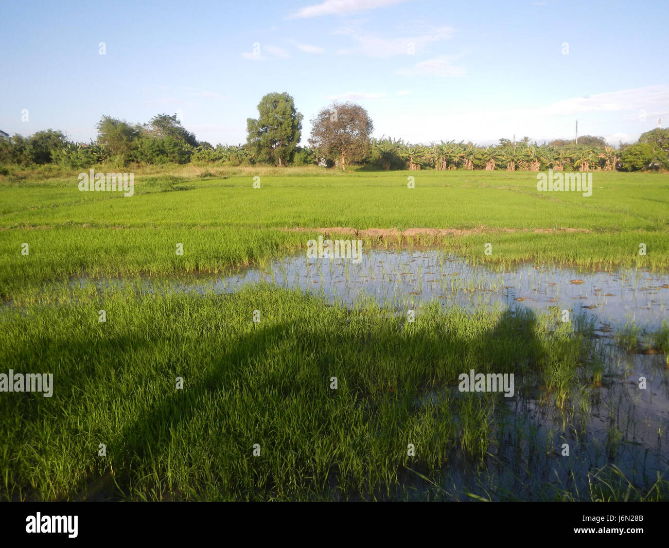 This image captures the scenic landscape of Sabang, Baliuag, Bulacan ...