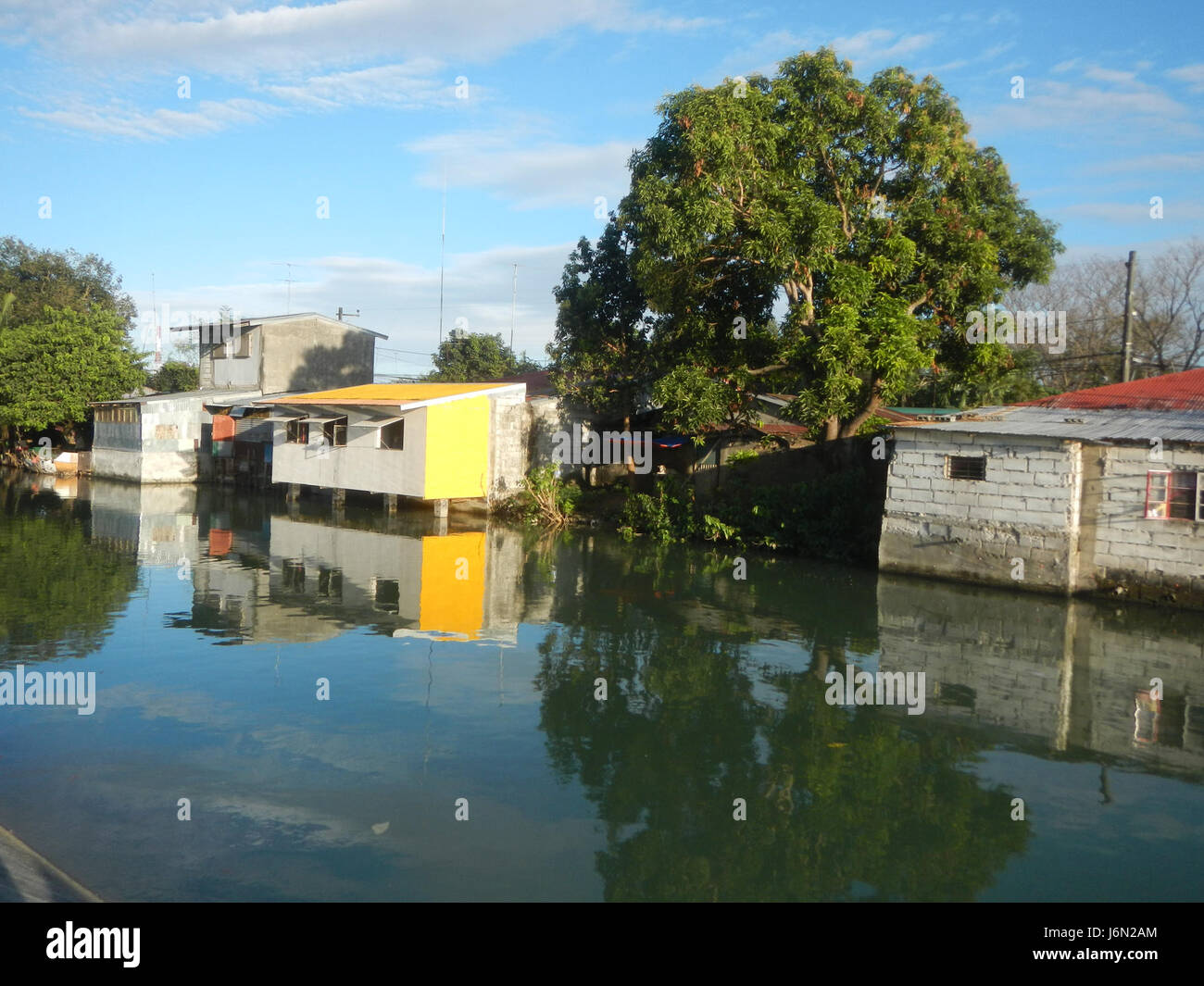 A photograph numbered 09725, depicting paddy fields, grasslands, trees ...