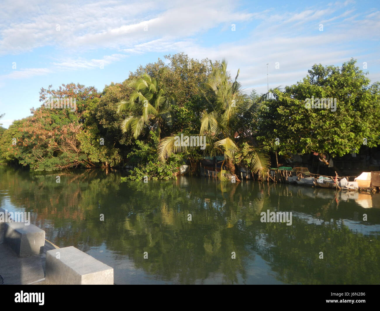 The image features paddy fields, expansive grasslands, trees, and ...