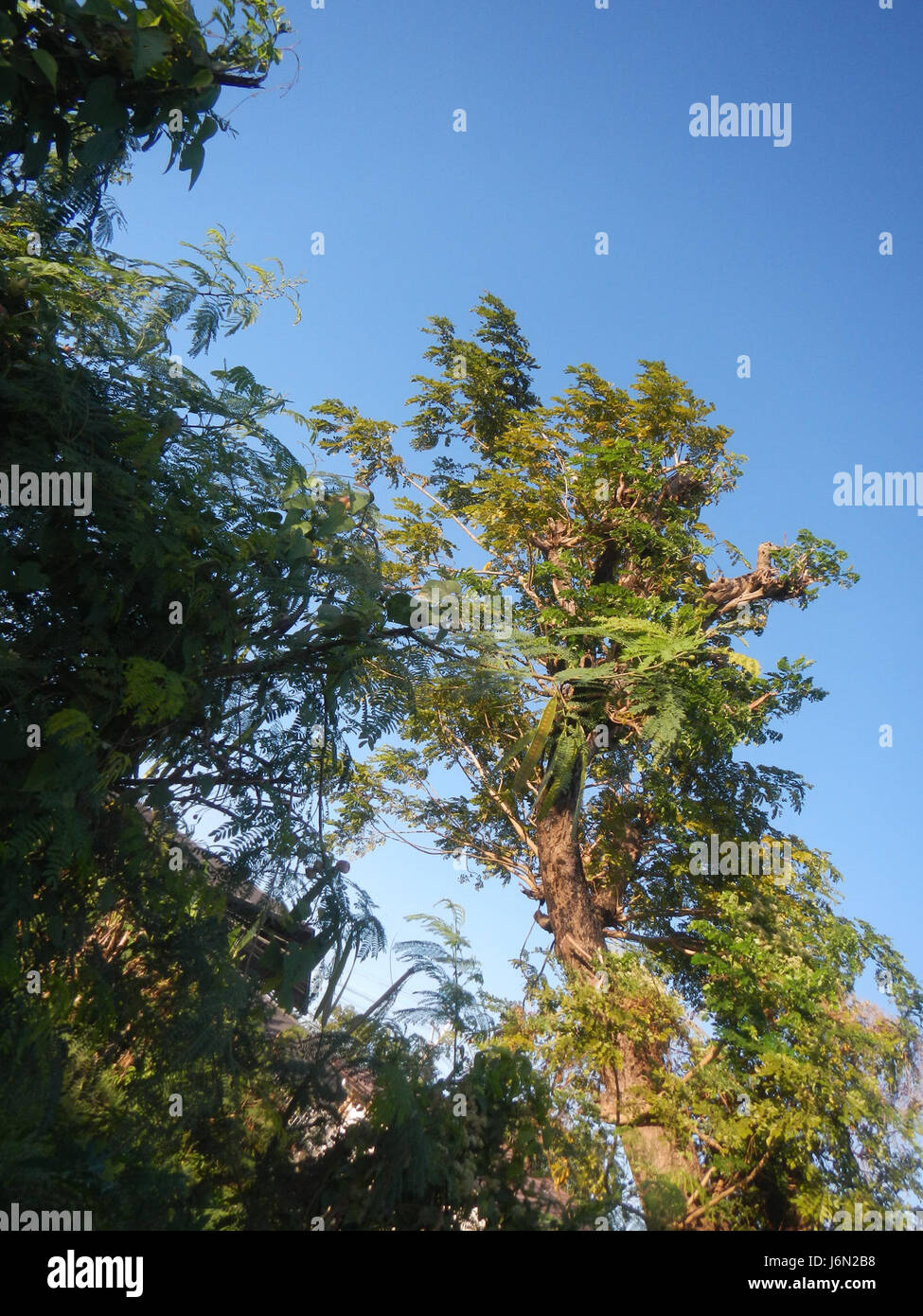 This image shows the rural landscape of Sabang, Baliuag, Bulacan ...