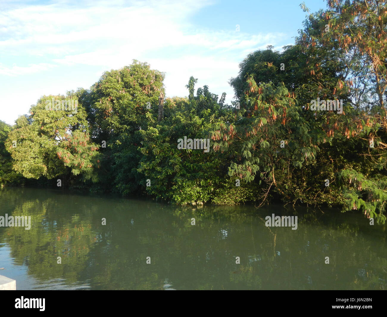 The image captures a scenic view of paddy fields, grasslands, and trees ...