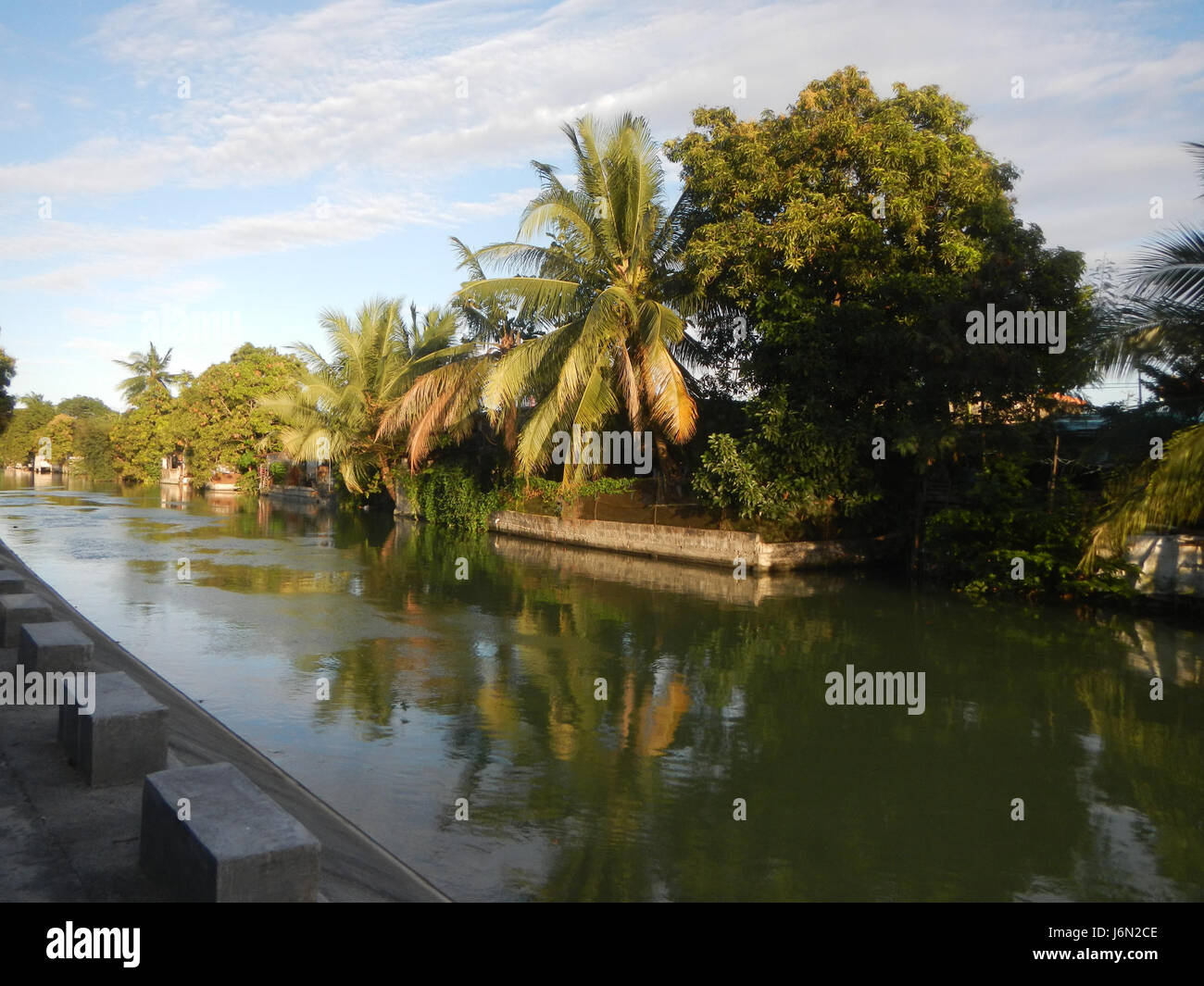Paddy fields grasslands trees hi-res stock photography and images - Alamy