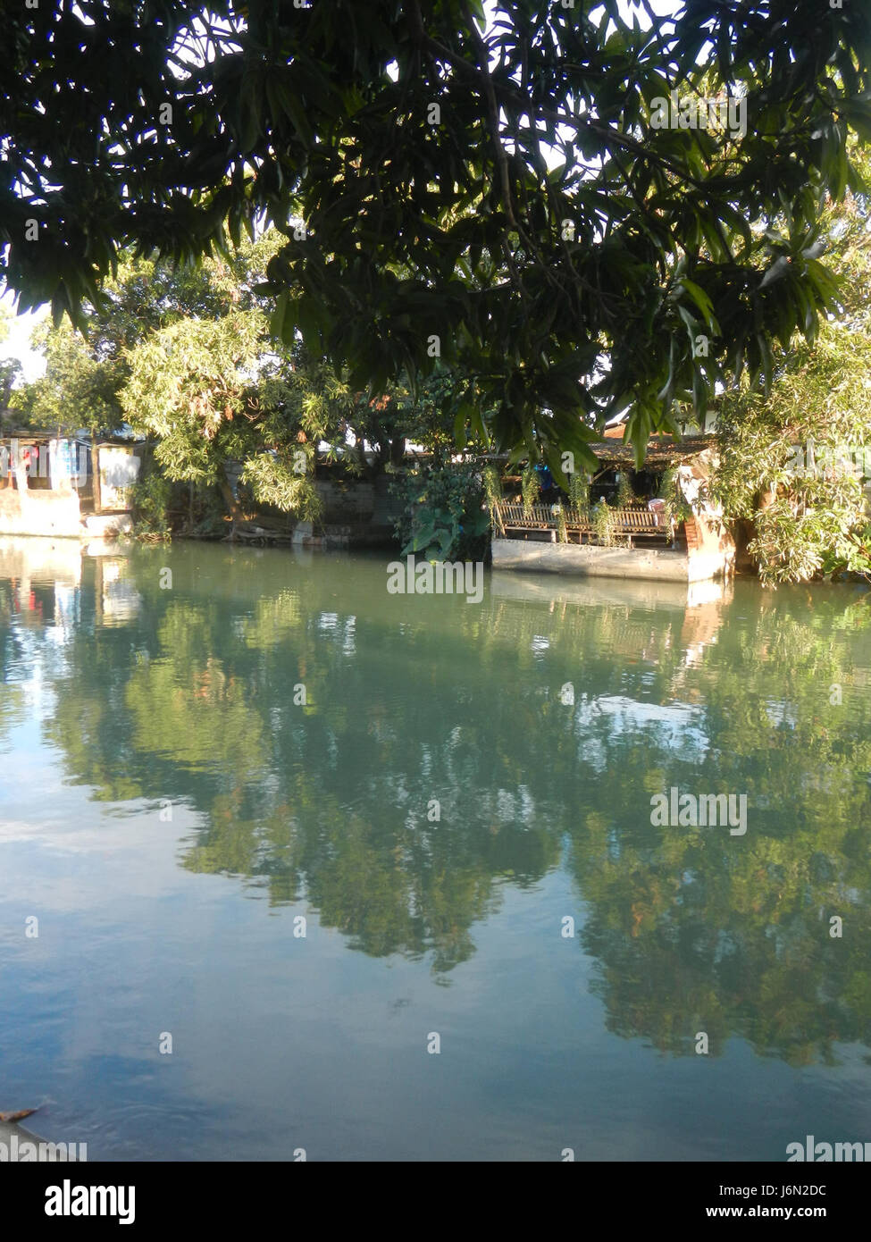 This image depicts paddy fields, grasslands, and trees in Sabang ...