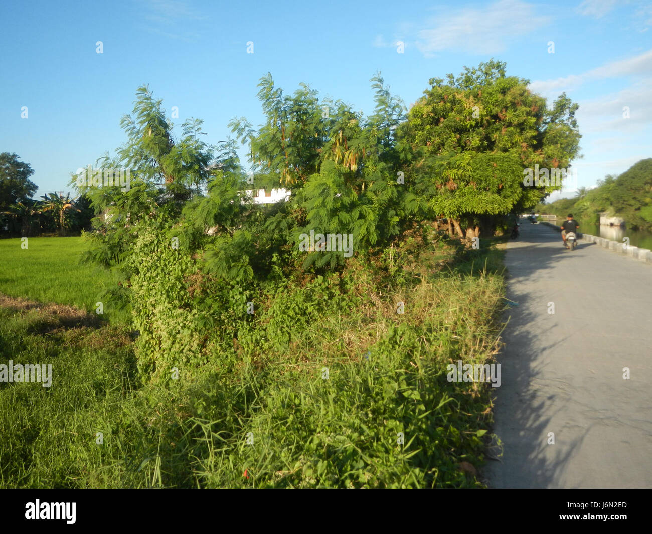 An image depicting the rural landscape of Sabang, Baliuag in Bulacan ...