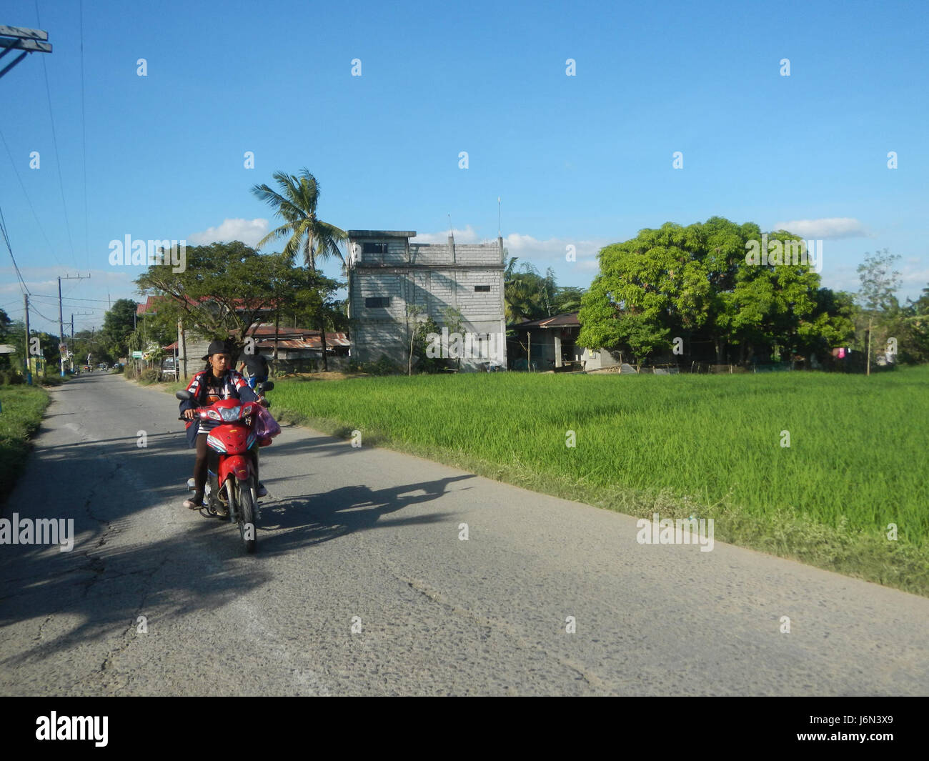 The title refers to the arterial municipal road network in Bustos ...
