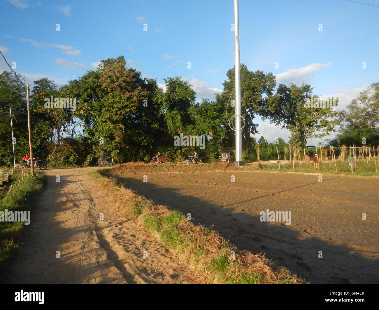 The image showcases a sunset over the paddy and vegetable fields in ...