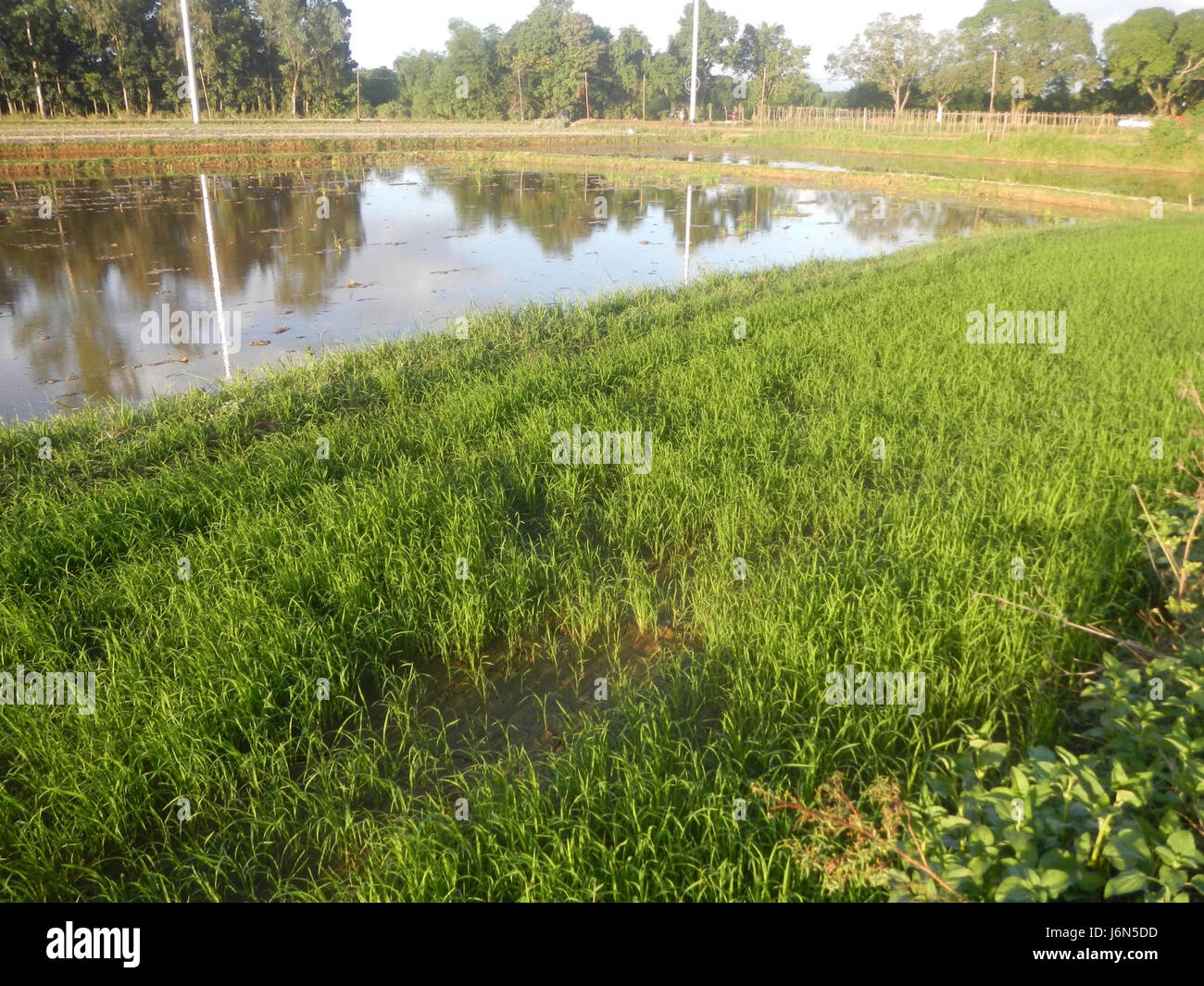 The image captures the rural landscape of Upig Bagong Barrio, San ...