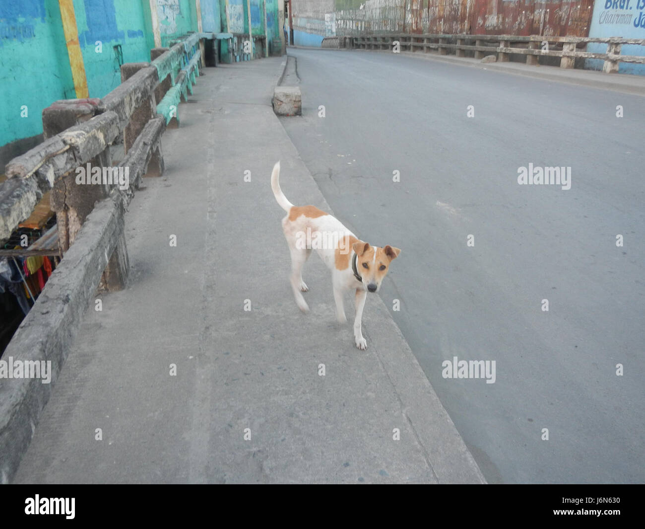A photograph capturing the Urban Deca Homes in Tondo, Manila, including ...