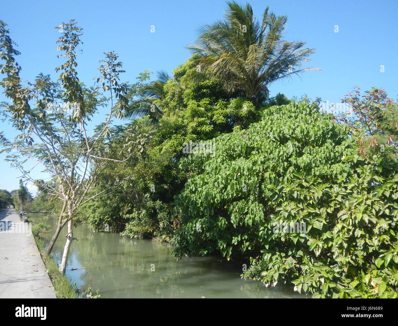 The image depicts paddy fields located in Sipat, Plaridel, Bulacan ...