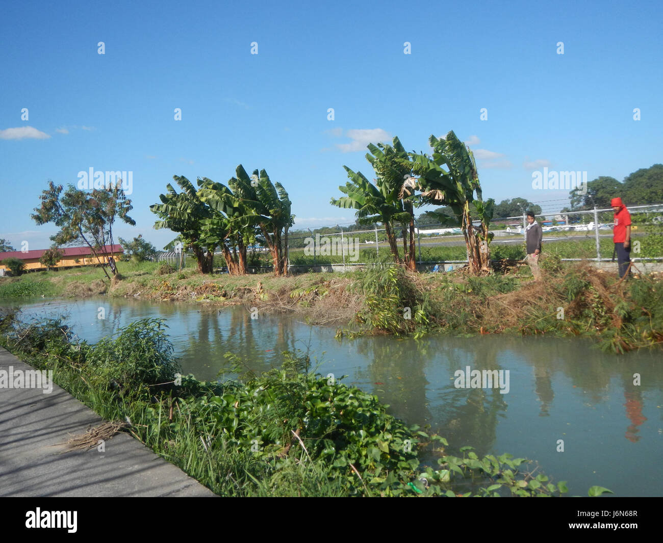 09379 Paddy fields Sipat Plaridel Bulacan Farm Market Road 30 Stock ...