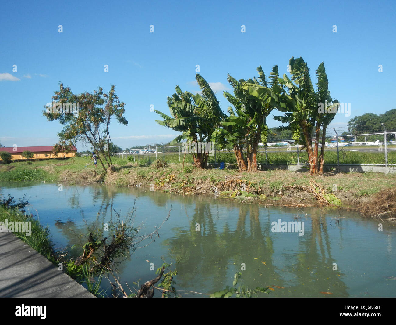 09379 Paddy fields Sipat Plaridel Bulacan Farm Market Road 31 Stock ...