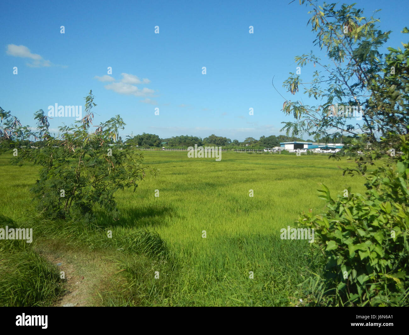 09123 Paddy fields Sipat Plaridel Bulacan Farm Market Road 21 Stock ...