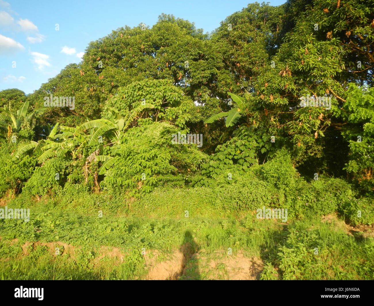 The fields in Upig, San Ildefonso, Bulacan, are known for their sunsets ...