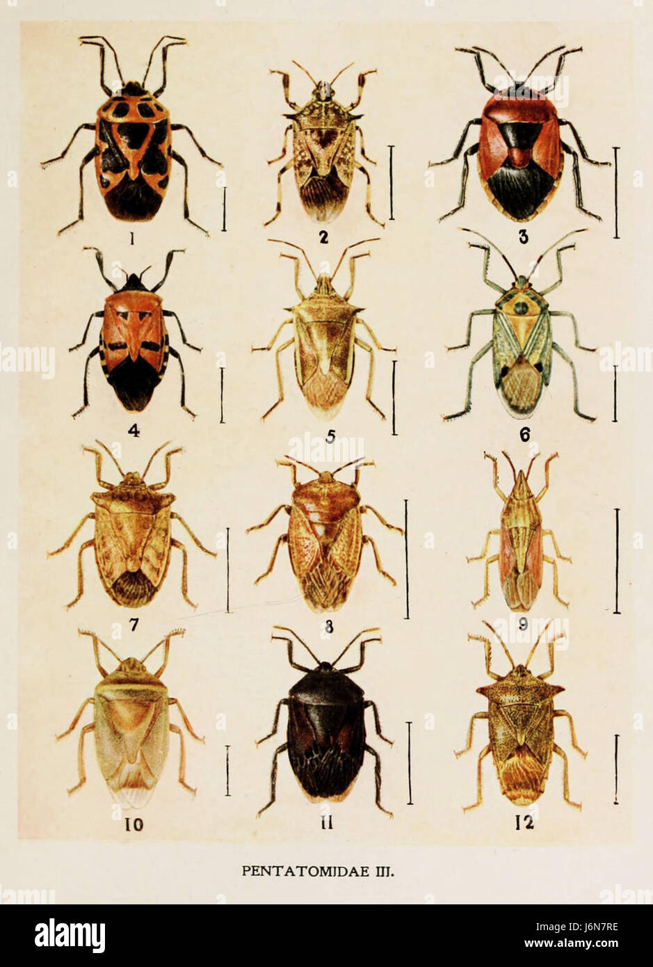 Pictorial map india hi-res stock photography and images - Alamy