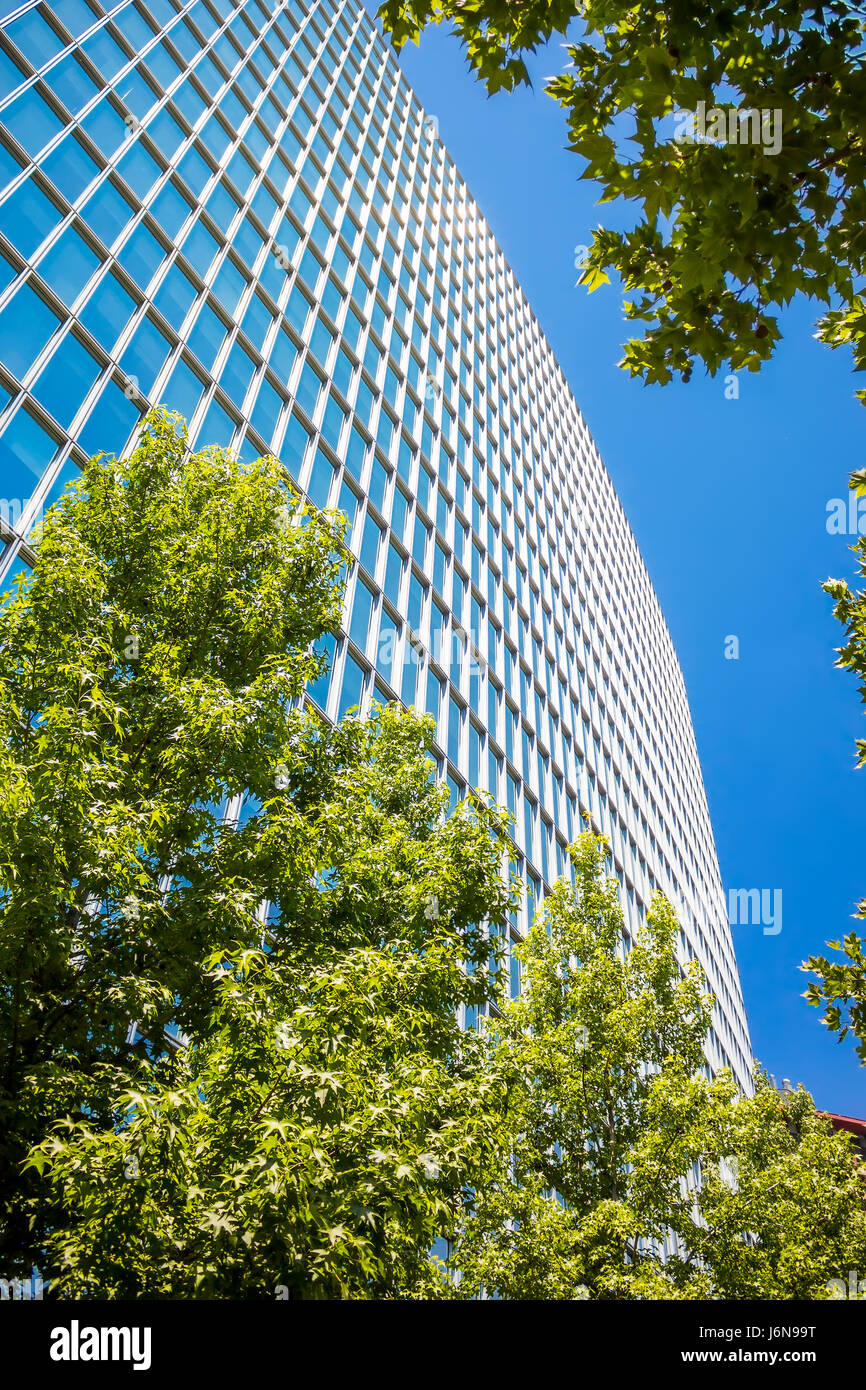 Perspective view of contemporary office building with branches of tree ...