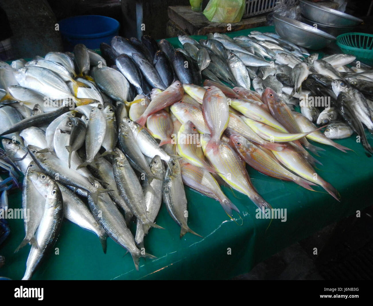 0682 New Pritil Public Market Juan Luna Herbosa Street Tondo, Manila 07 ...