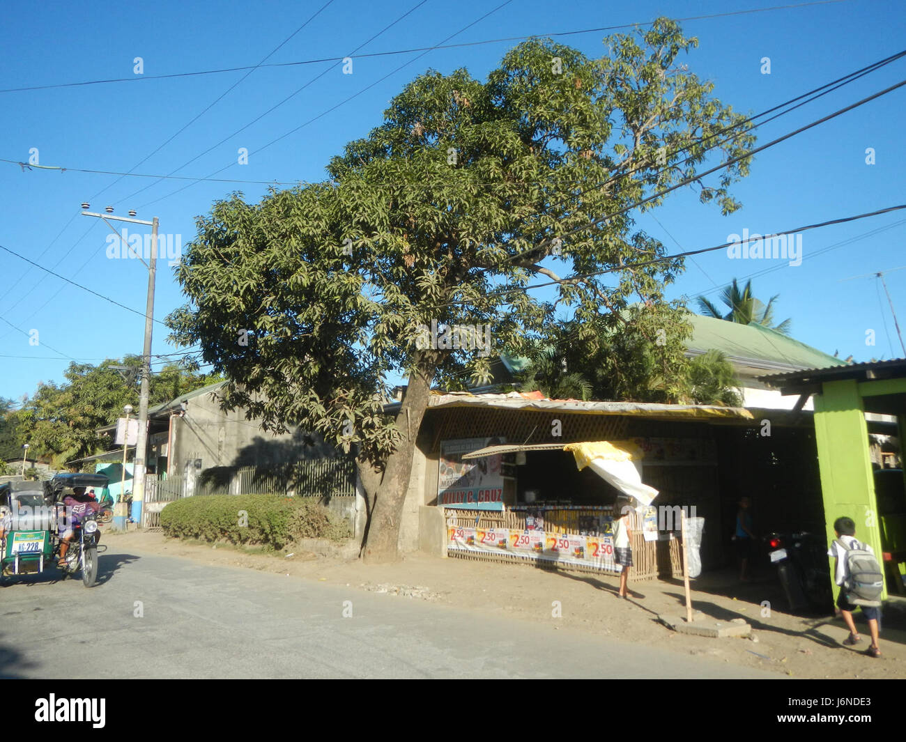 09685 Paddy fields grasslands Liciada Catacte Malawak Bustos Bulacan ...