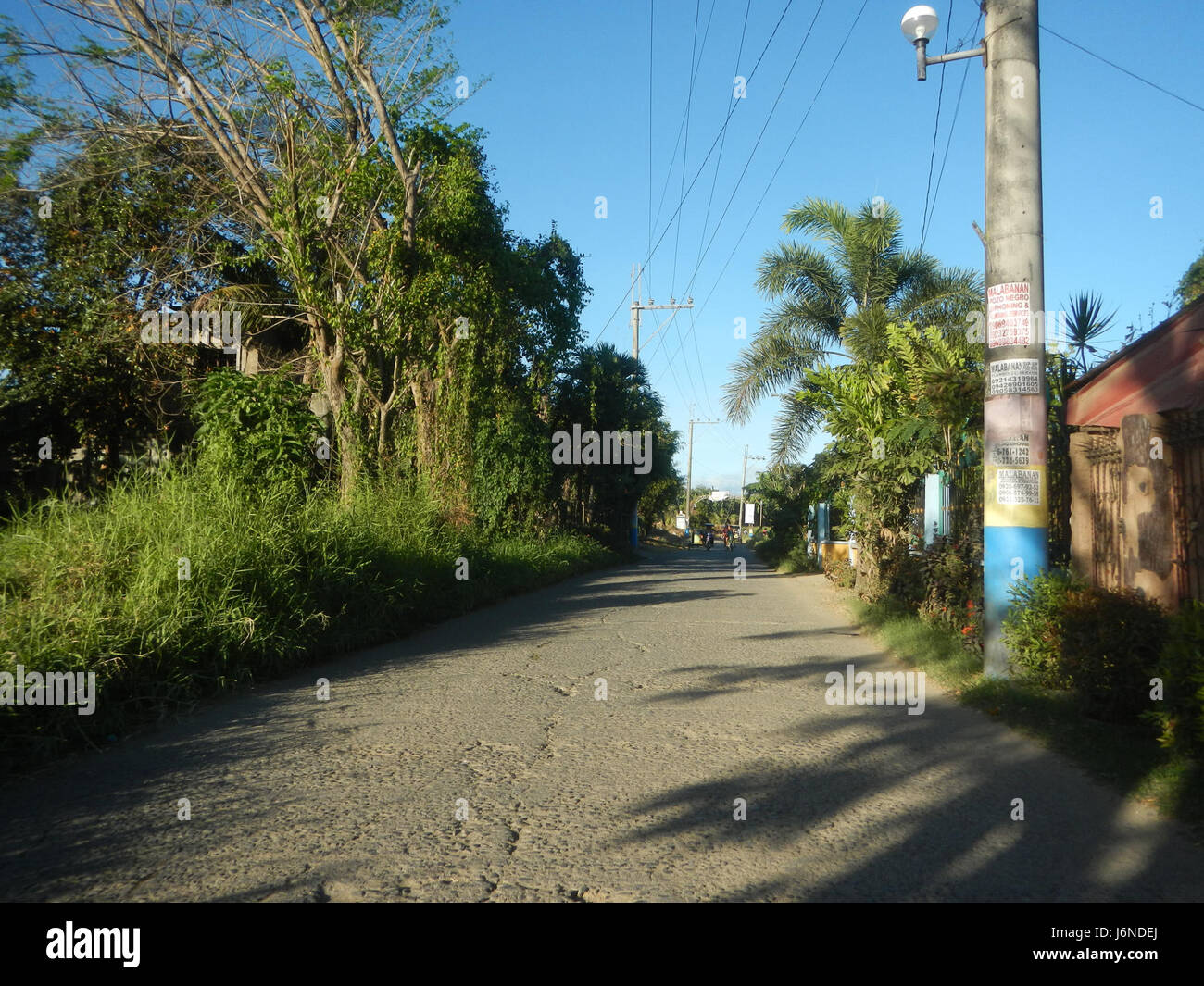 The image depicts the lush paddy fields and grasslands of Liciada ...