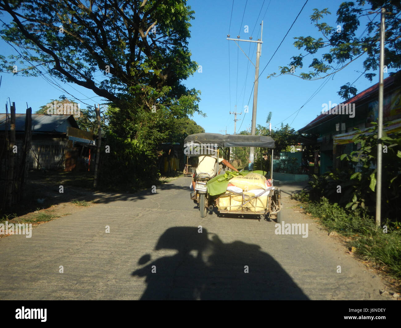 The photograph captures the paddy fields and grasslands of Liciada ...