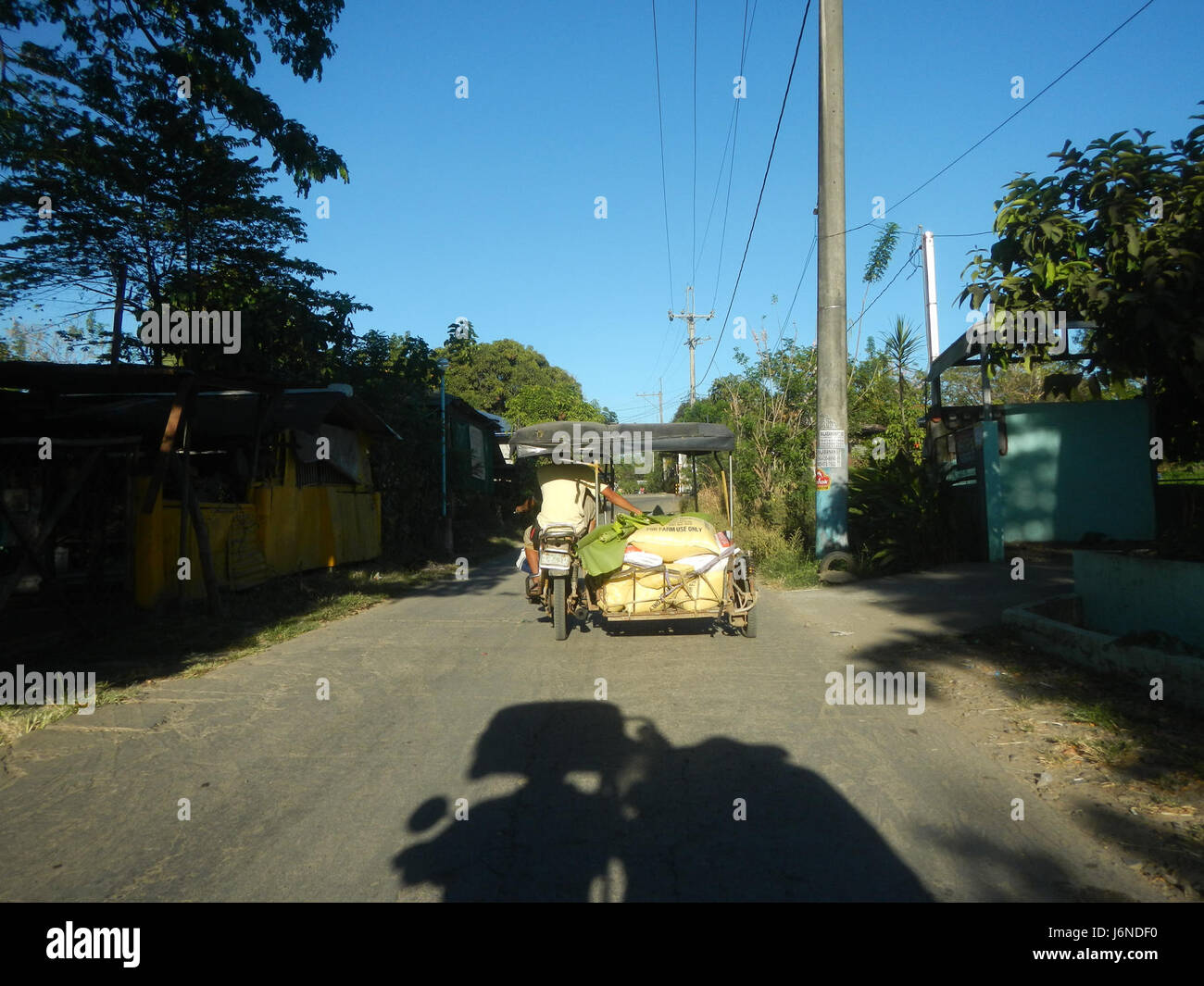This image depicts the expansive paddy fields and grasslands in Liciada ...