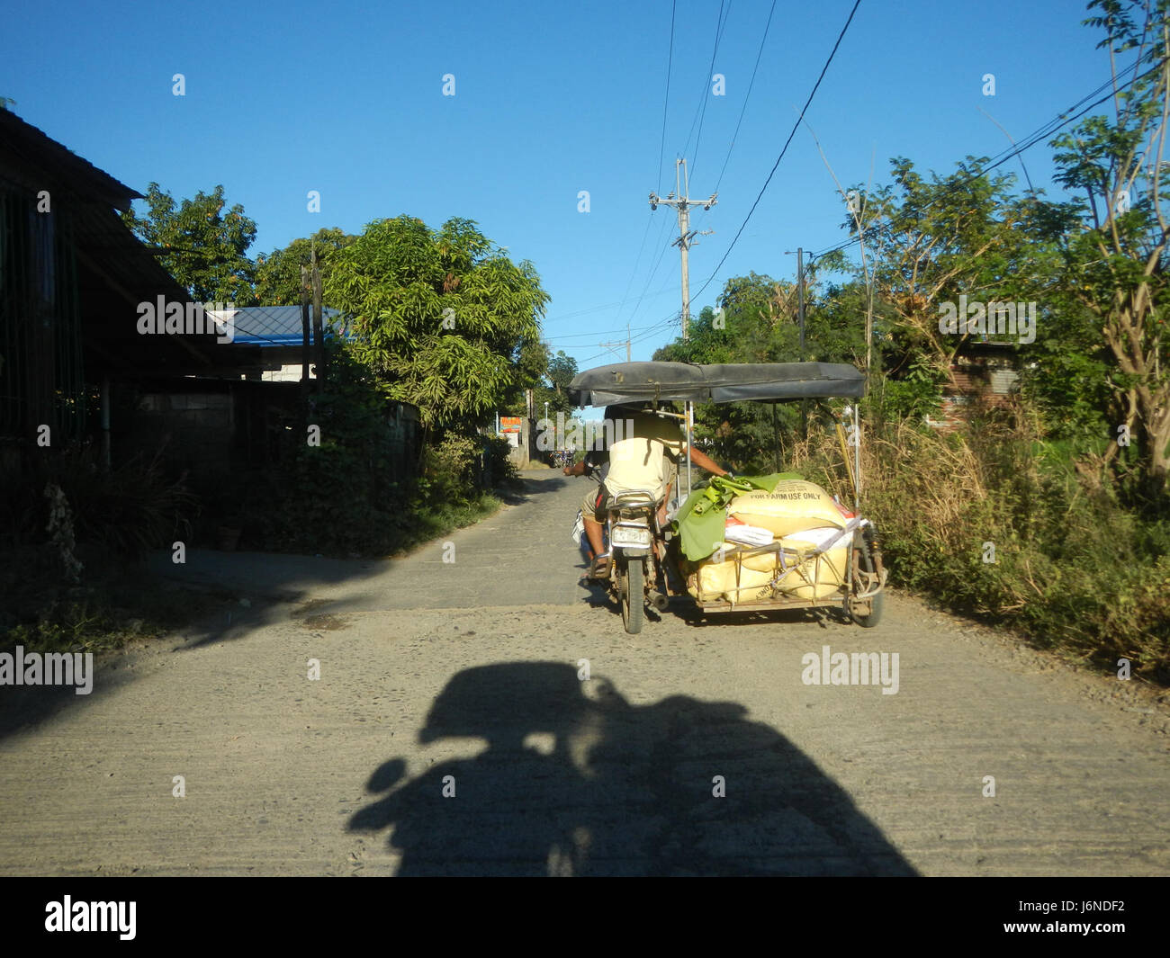 09685 Paddy fields grasslands Liciada Catacte Malawak Bustos Bulacan ...