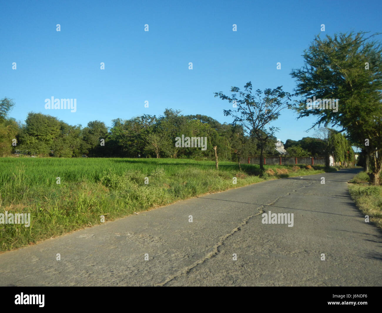 The agricultural landscape of Liciada, Catacte, and Malawak in Bustos ...