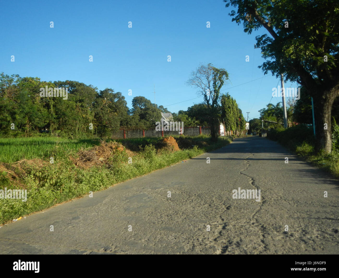 09685 Paddy fields grasslands Liciada Catacte Malawak Bustos Bulacan ...