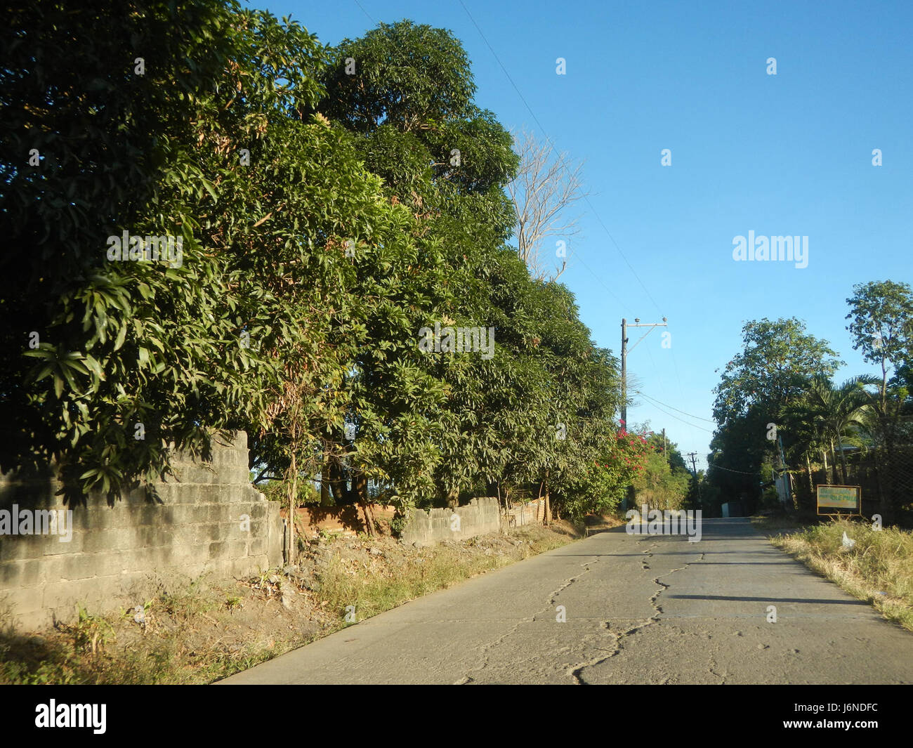 09685 Paddy fields grasslands Liciada Catacte Malawak Bustos Bulacan ...