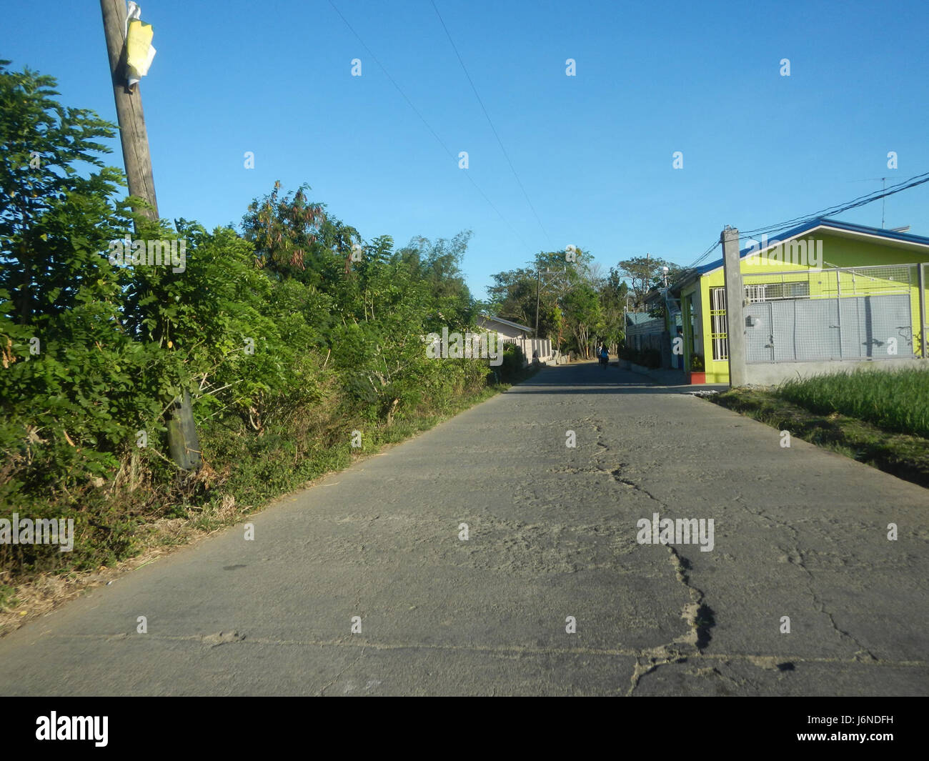 Aerial photograph of the paddy fields and grasslands in the vicinity of ...