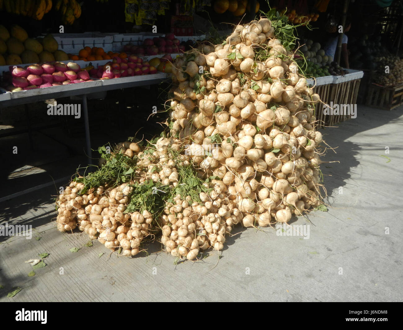 Commonly grown vegetables hi-res stock photography and images - Alamy