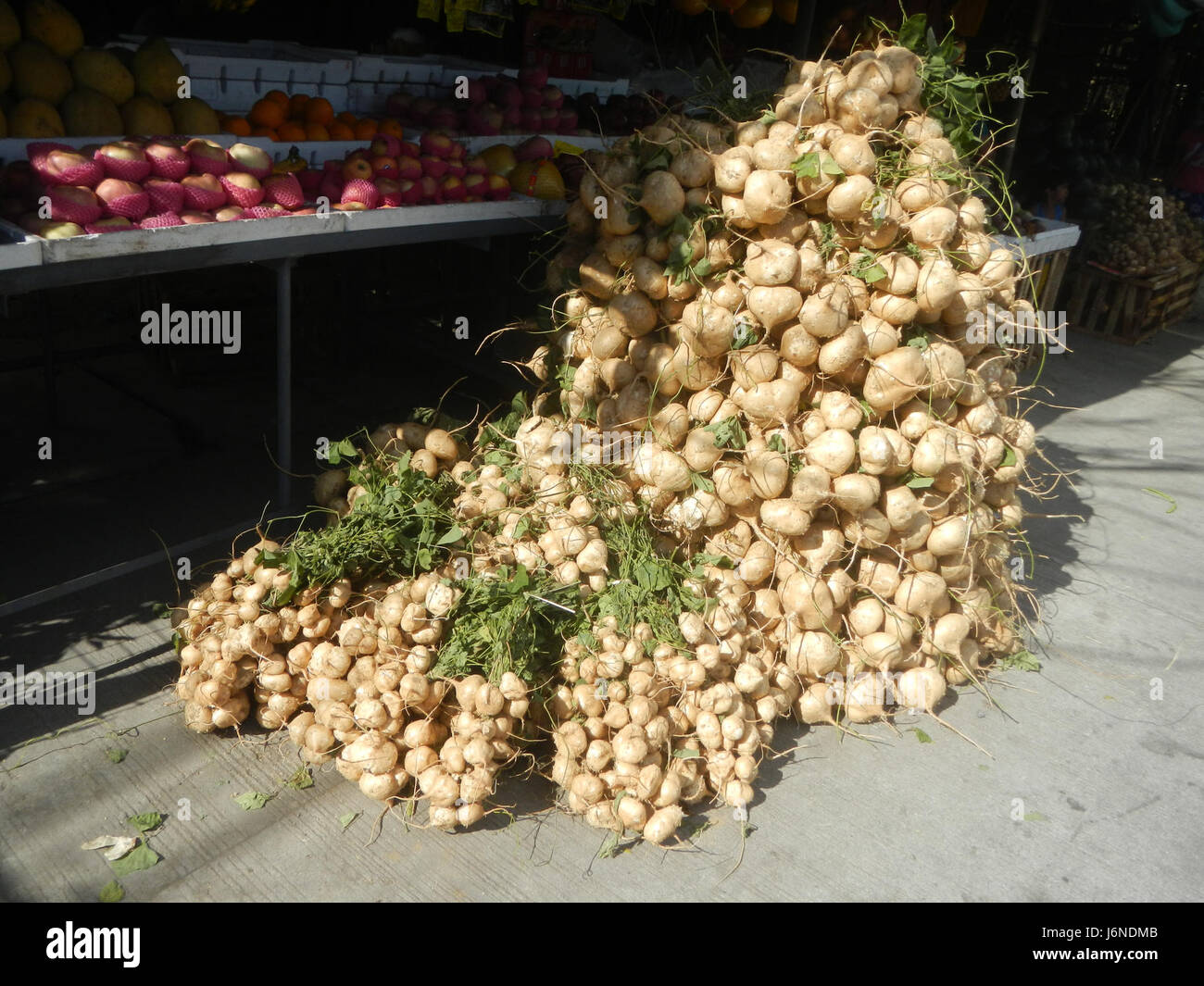Singkamas hi-res stock photography and images - Alamy