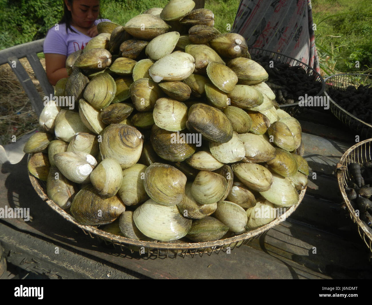 0696b Halaan Philippines Susong pilipit Agurong Tabagwang Bulacan ...