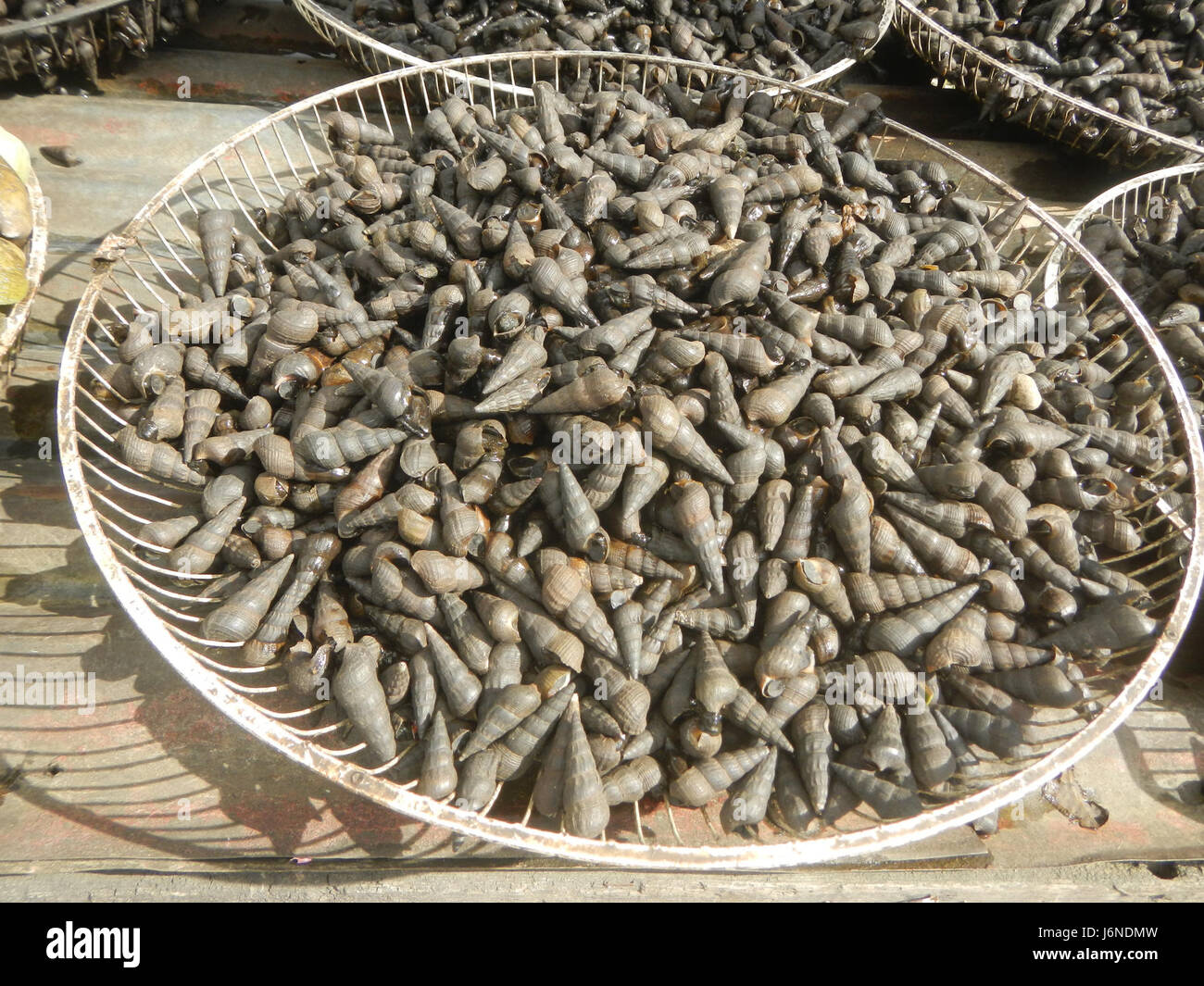 The Halaan regions in the Philippines, including Susong Pilipit ...