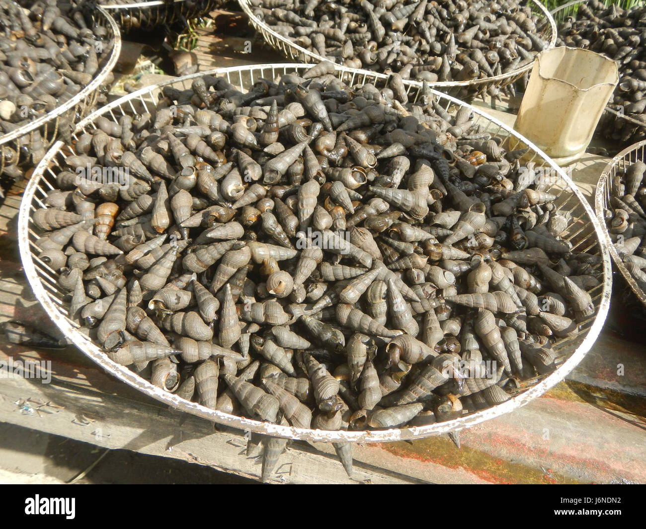 0730 Halaan Philippines Susong pilipit Agurong Tabagwang Bulacan ...