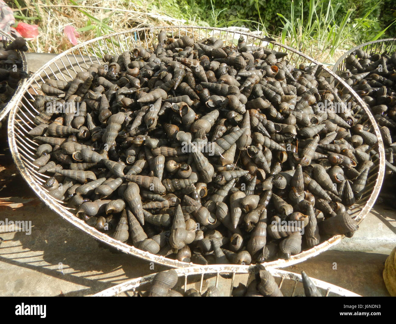 0730 Halaan Philippines Susong pilipit Agurong Tabagwang Bulacan ...