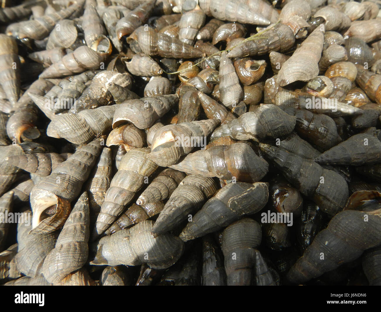 A geographical description of locations in the Philippines, including ...