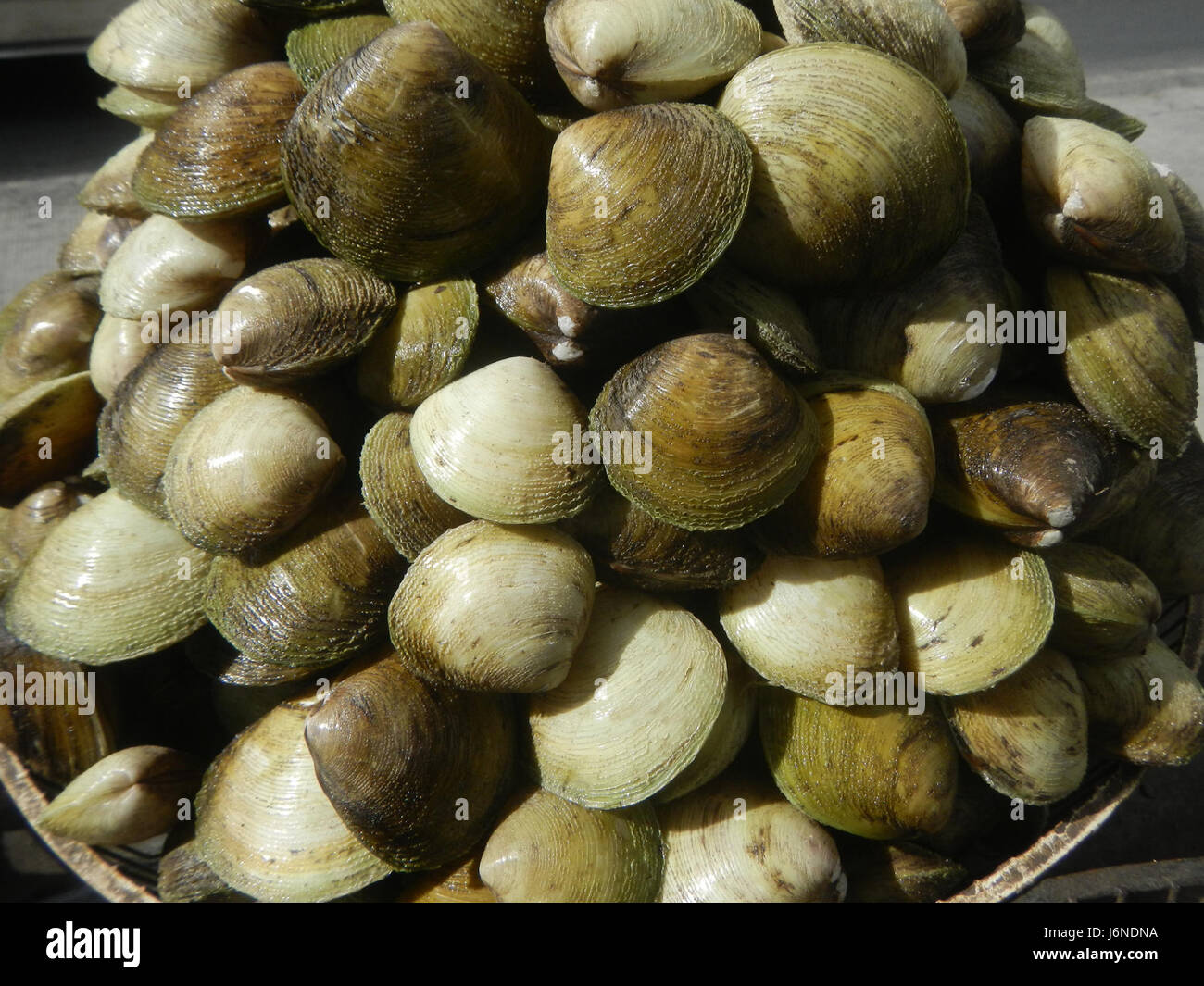 This location in the Philippines includes areas such as Susong Pilipit ...
