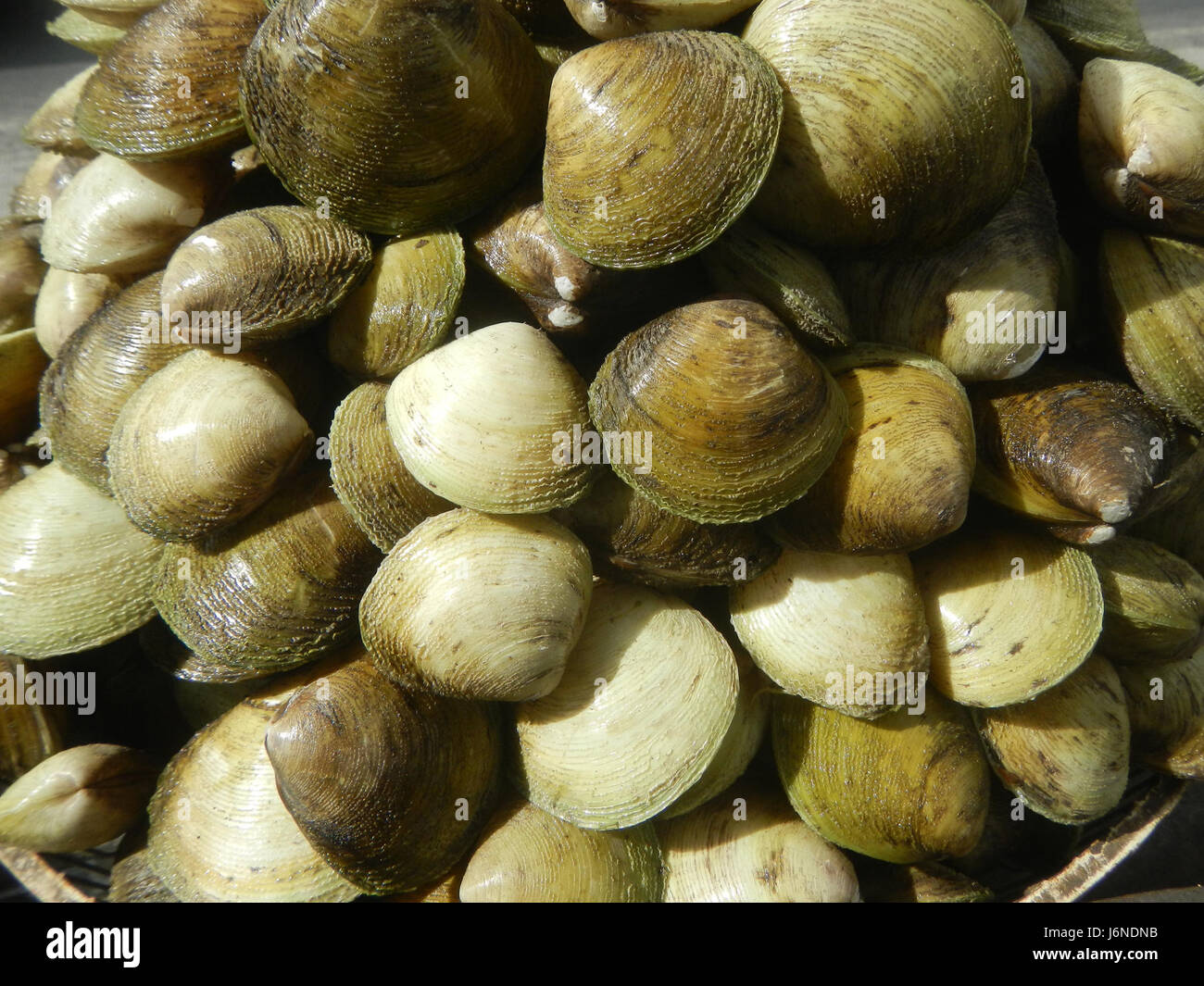 0730 Halaan Philippines Susong pilipit Agurong Tabagwang Bulacan ...