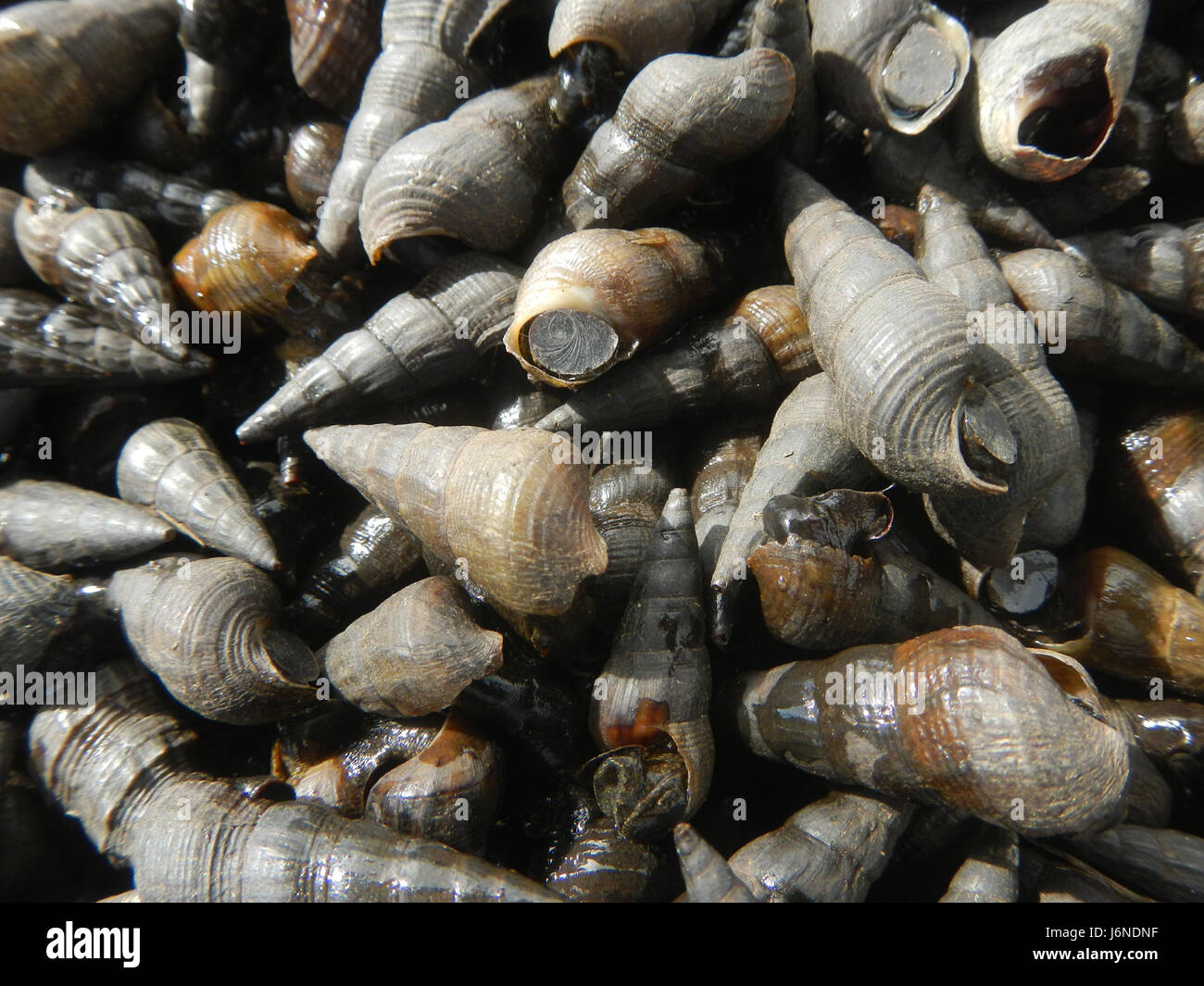 The location mentioned involves various towns in the Philippines ...