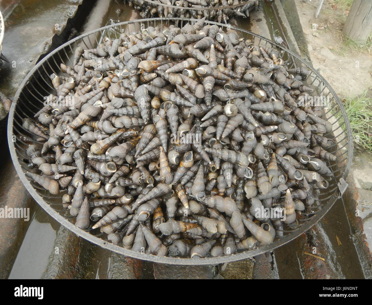 The Halaan region in the Philippines includes various locations like ...