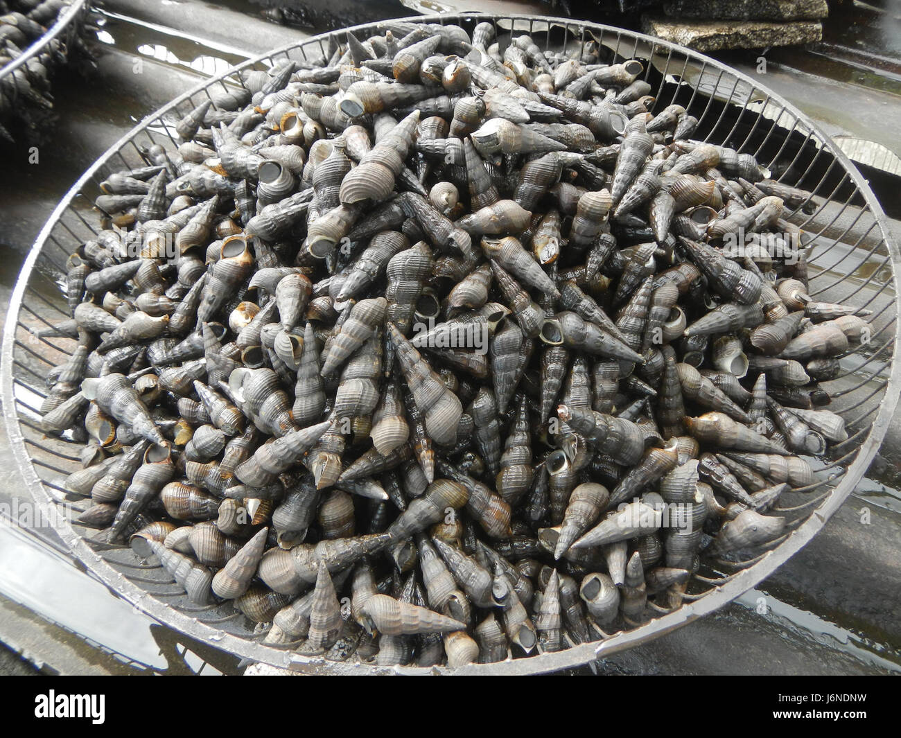 0730 Halaan Philippines Susong pilipit Agurong Tabagwang Bulacan ...